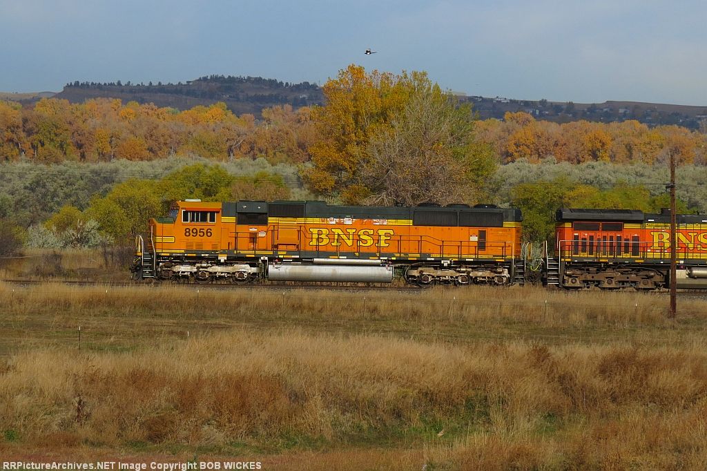 BNSF 8956